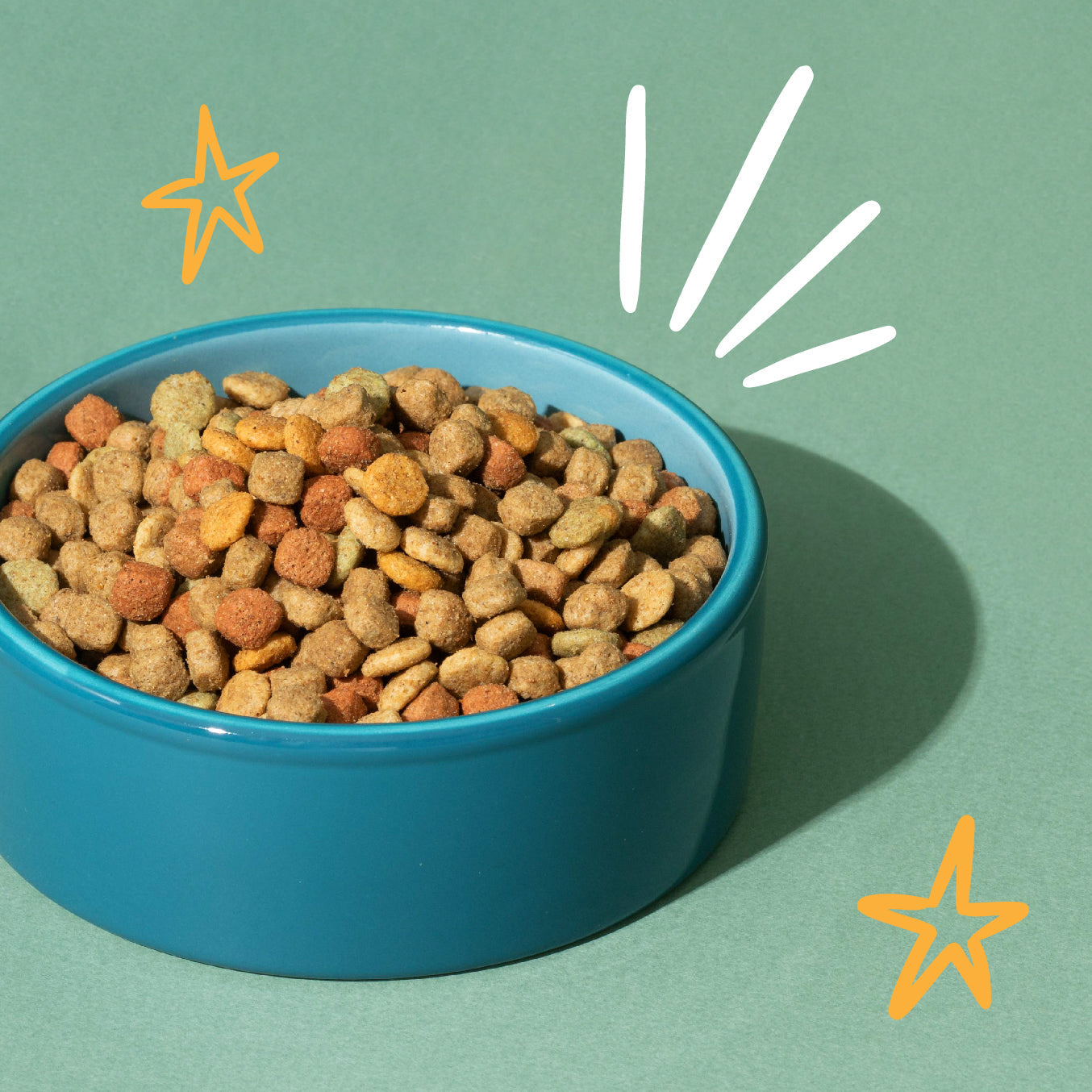 Buy Quality Dry Dog Food Online UK | Best Dry Dog Foods Hertfordshire ...